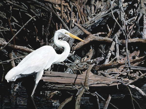 Artists of Note | Ellen Fuller