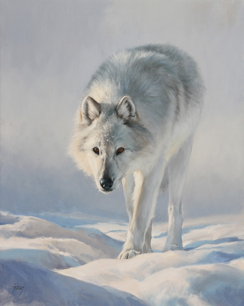 Show Preview | Edward Aldrich