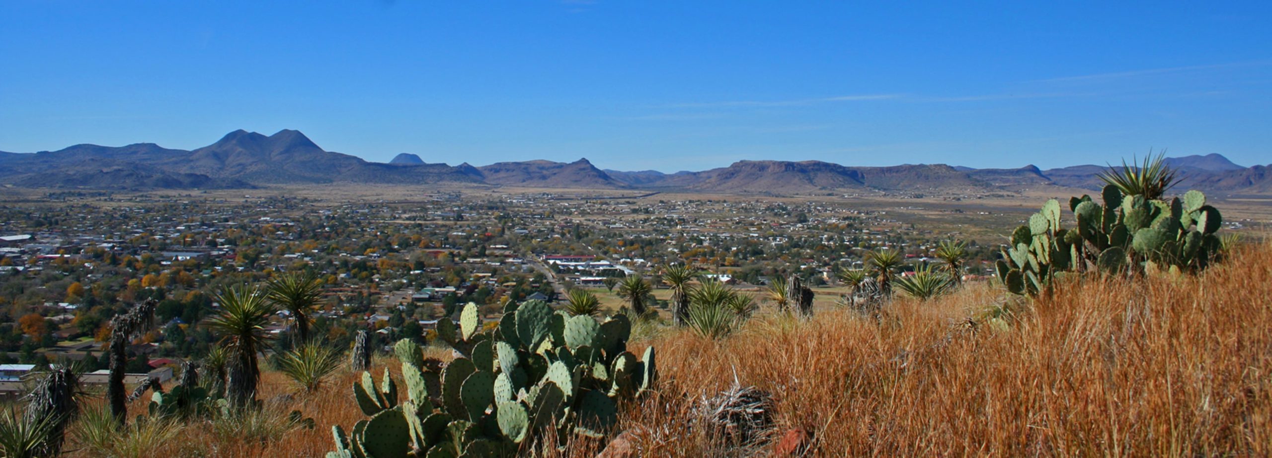 Trappings of Texas Show Returns - Southwest Art Magazine